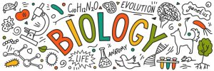 Easy Biology Experiments for Kids – Profets Network